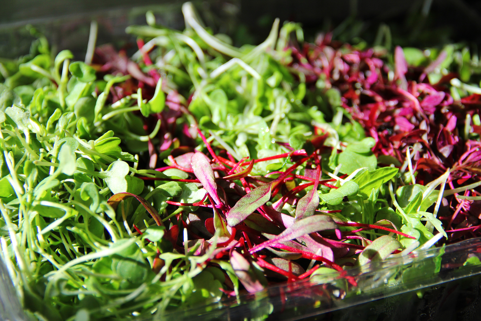 The Adaptogenic Green Juice You Need For Thyroid Health Sleekskin
